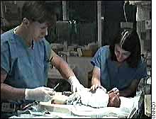 Circumcision & Health